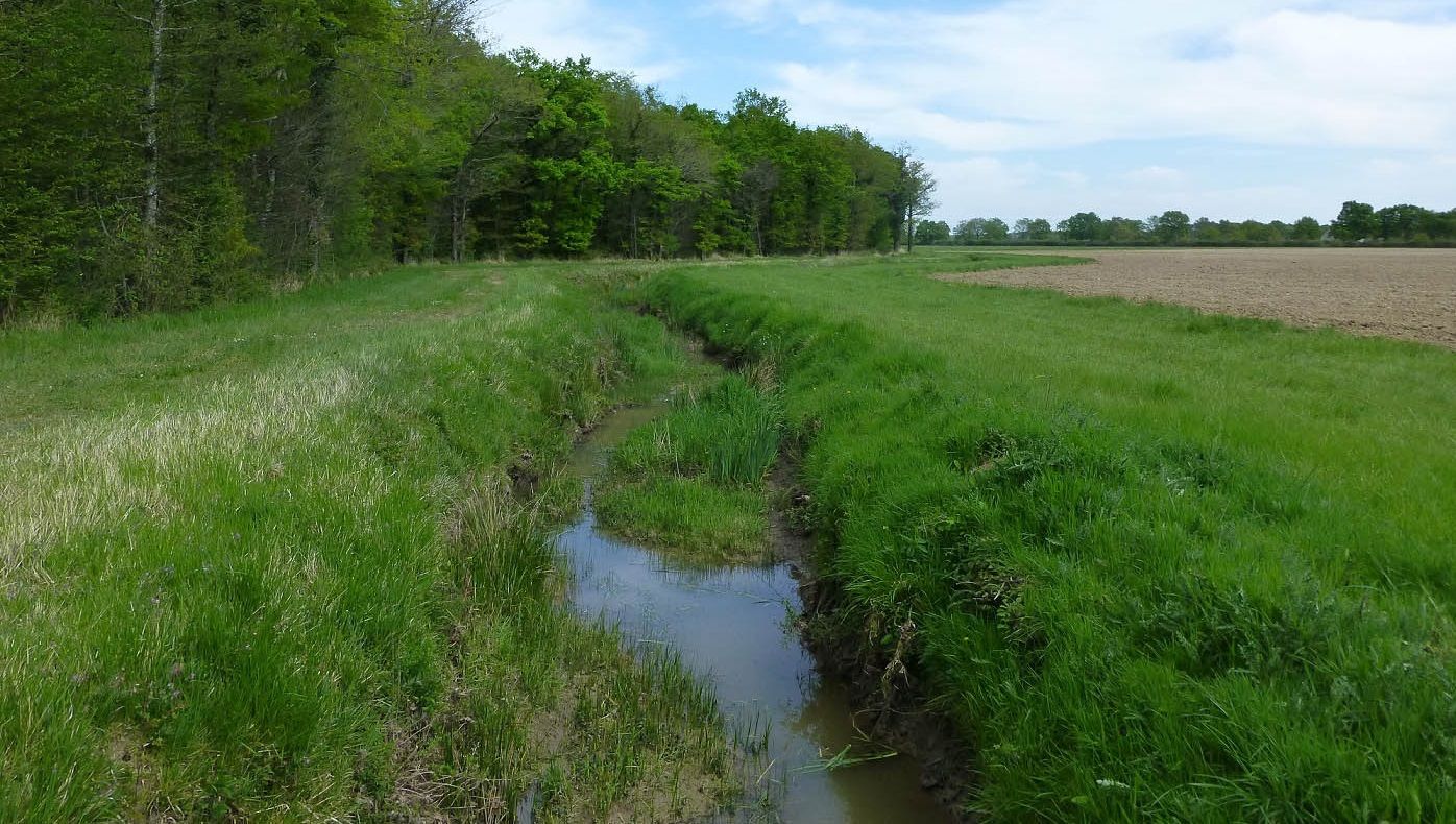 La Trame Verte et Bleue du Pays Sancerre Sologne - Syndicat mixte Pays ...